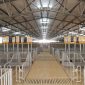 Steynsburg Piggery · Number 2 Piggeries