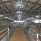Steynsburg Piggery · Number 2 Piggeries