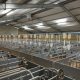 Steynsburg Piggery · Number 2 Piggeries